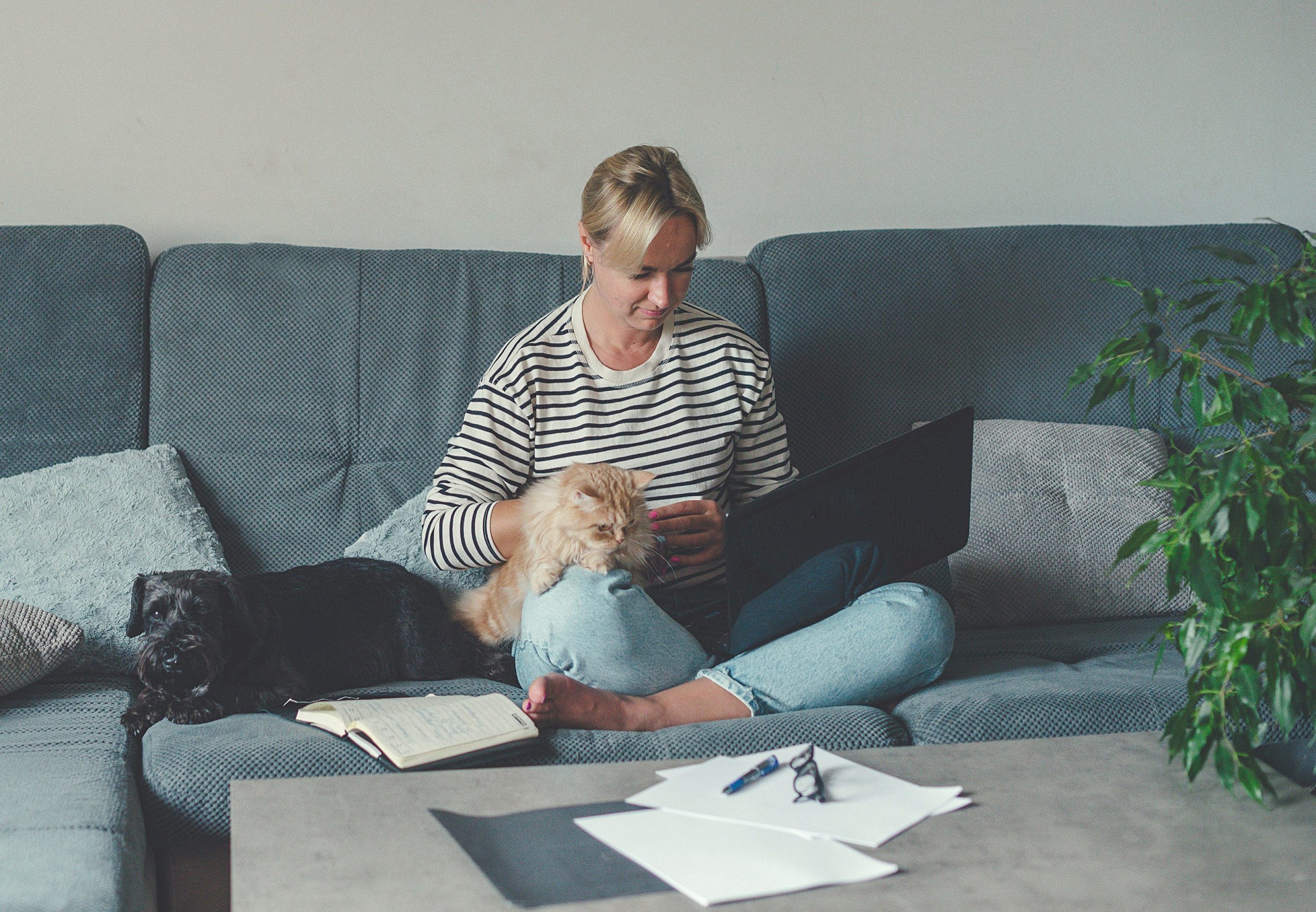 Top 10 Work From Home (WFH) Challenges (And How To Solve Them) | Work ...